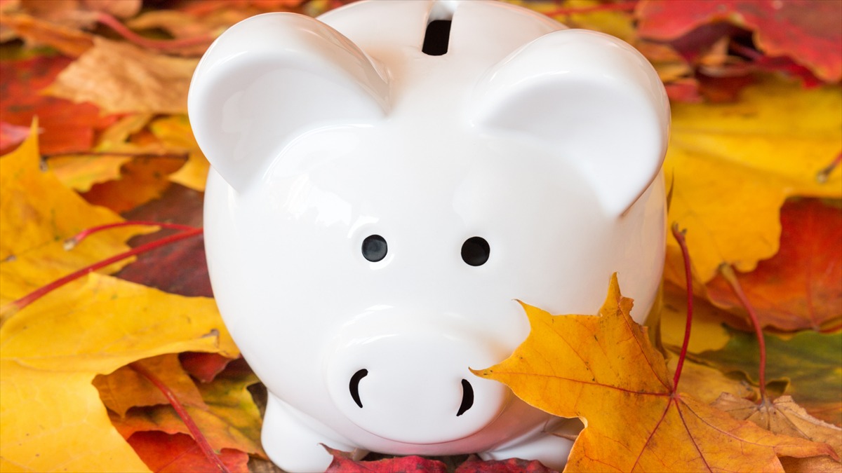 Financial Planning Tips for Fall - Agemy Financial Strategies
