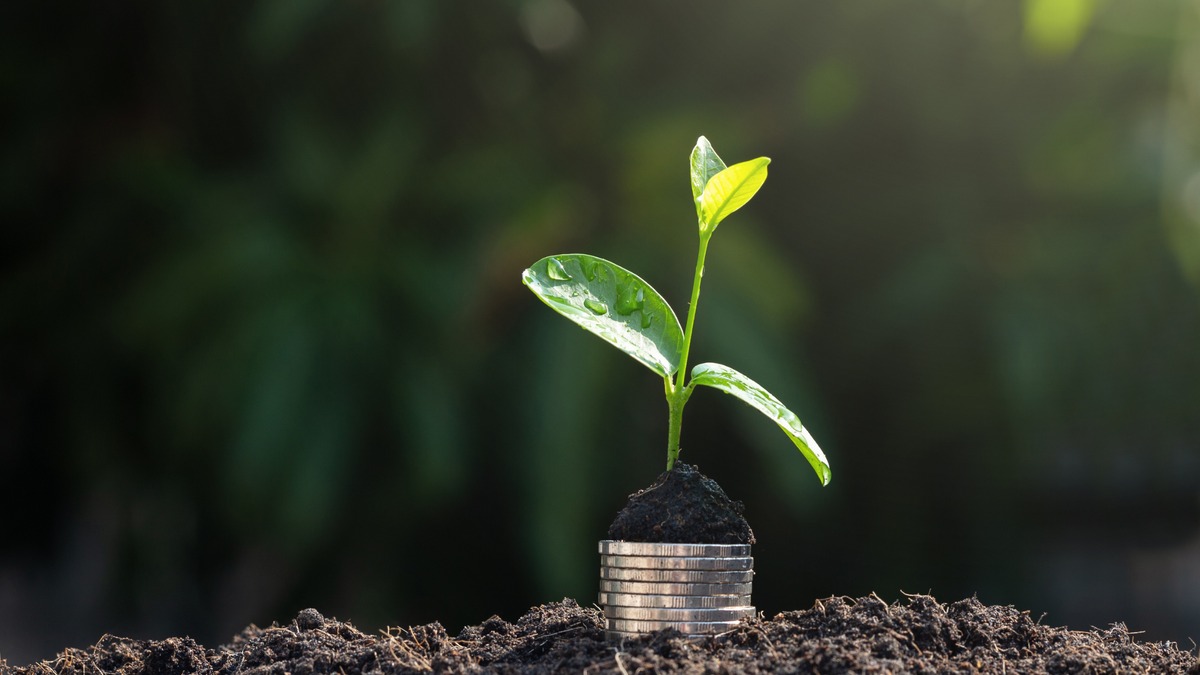 Holistic Financial Tips for Earth Day - Agemy Financial Strategies